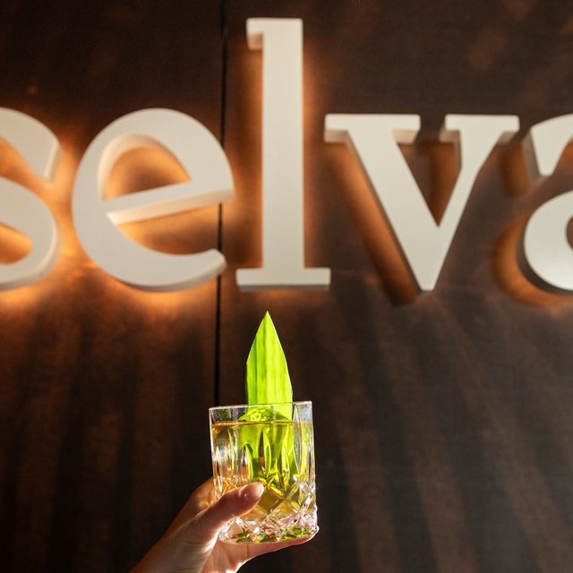 Selva Chicago │Rooftop Cocktail Bar in Fulton Market