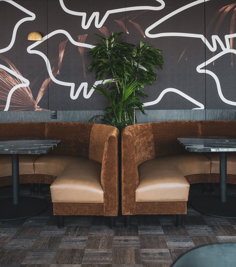 Selva Chicago │ Photo Gallery